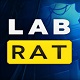 实验室老鼠游戏下载_Lab Rat中文版下载[冒险解谜]-下载之家