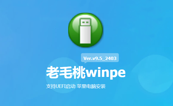 老毛桃winpe下载-老毛桃winpe官方版下载[2024最新版]-下载之家